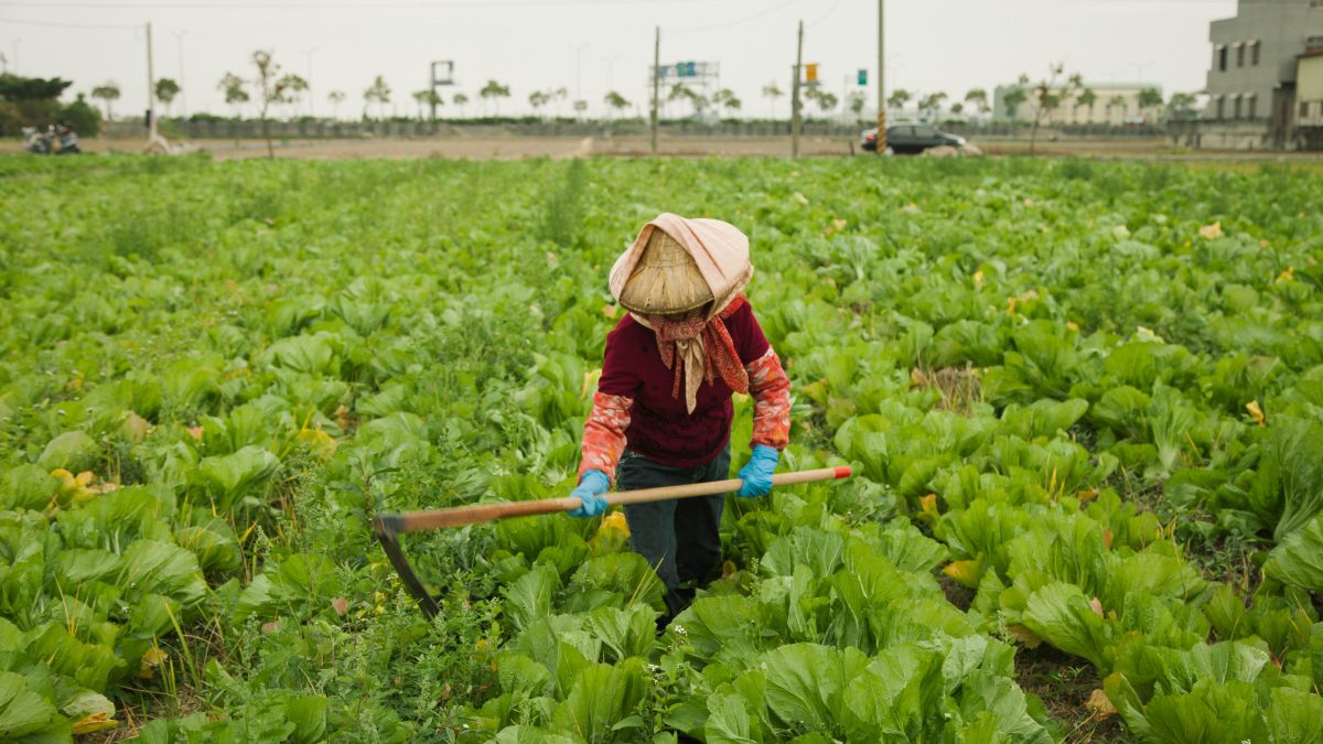 Mediamaker – BAVC Media