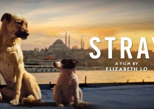 BAVC Media - Education, Community, Activism, Youth Programs