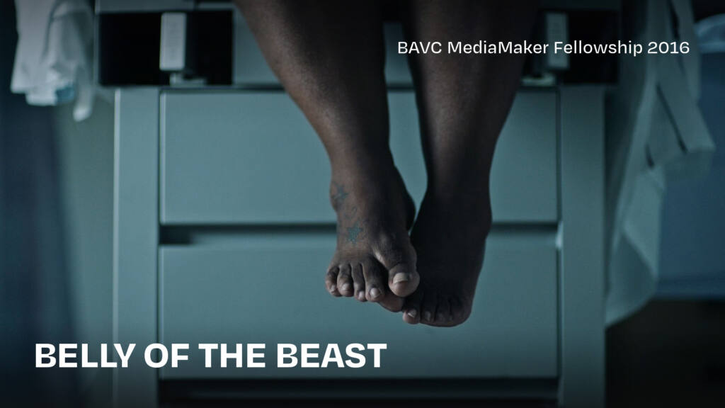 BAVC MediaMaker Fellowship - BAVC Media